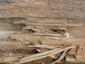 damaged wood textures - Texturelib