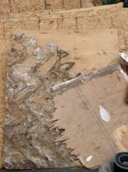 damaged wood textures - Texturelib