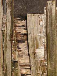 damaged wood textures - Texturelib