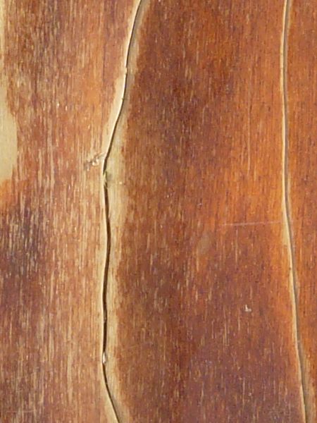 brown wood texture 0012 - Texturelib