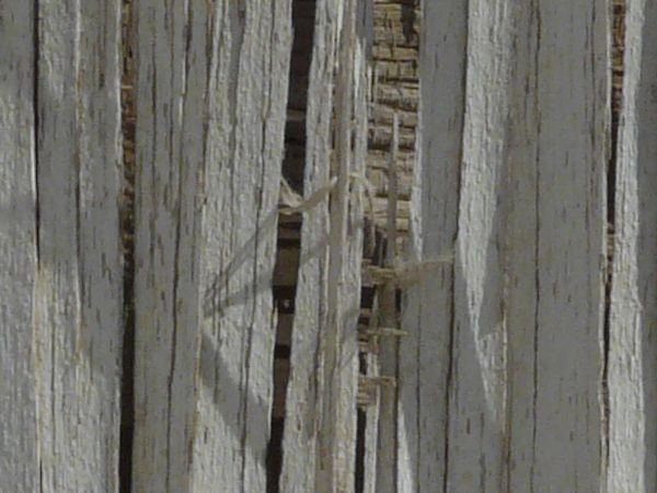 damaged wood texture 0014 - Texturelib