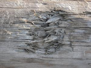 damaged wood textures - Texturelib
