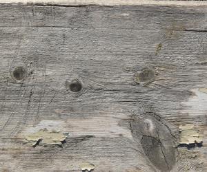 wood textures - Texturelib