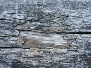 old wood textures - Texturelib