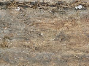 old wood textures - Texturelib