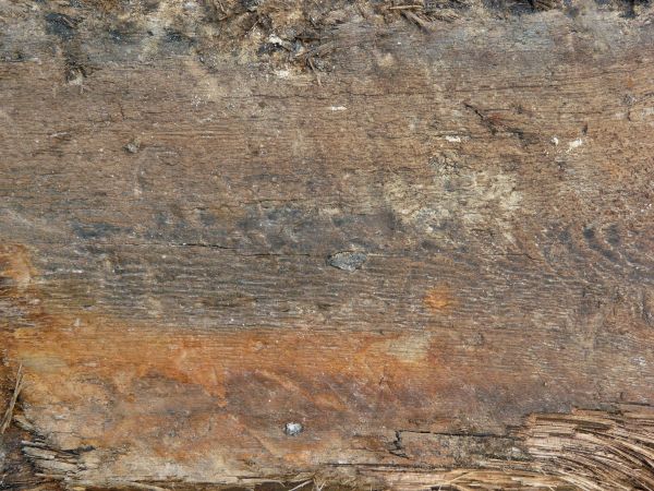 discolored wood texture 0002 - Texturelib