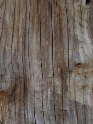 old wood textures - Texturelib