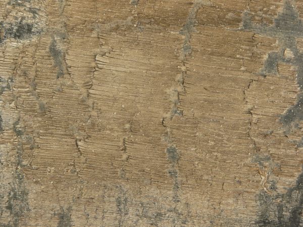 rough brown wood texture 0016 - Texturelib