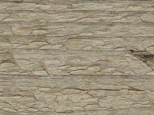 light brown wood texture 0018 - Texturelib