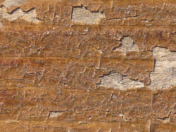 cracked brown wood texture 0030 - Texturelib