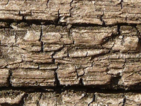 rough brown wood texture 0035 - Texturelib