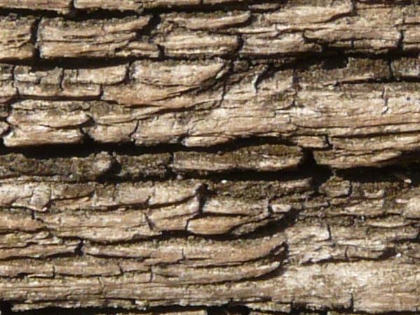 rough brown wood texture 0035 - Texturelib