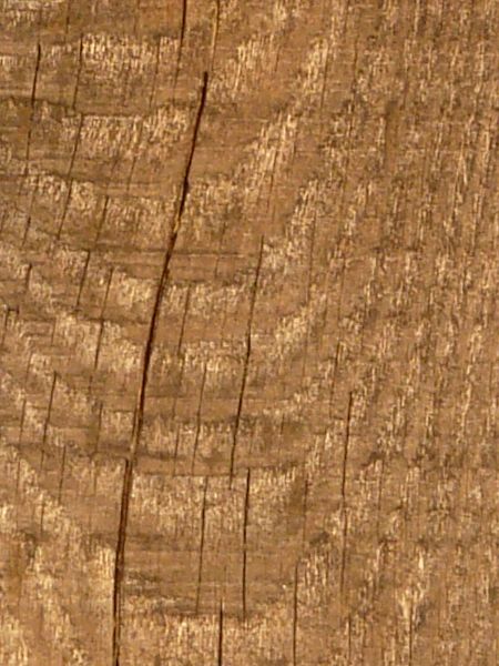 old smooth wood texture 0039 - Texturelib
