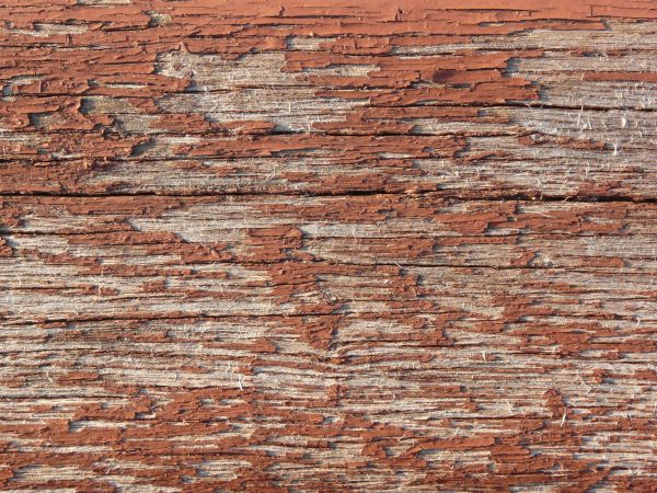 rough white wood texture 0040 - Texturelib