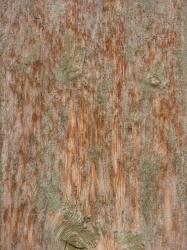 old wood textures - Texturelib