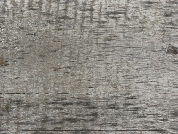 discolored grey wood texture 0049 - Texturelib