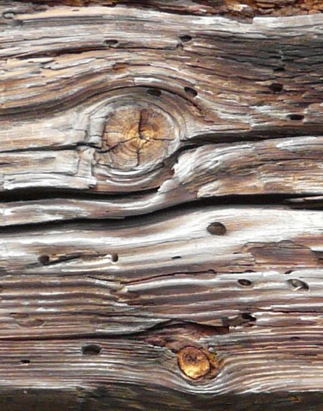 old rutted wood texture 0054 - Texturelib