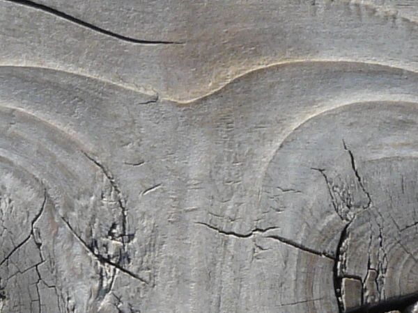 cracked grey wood texture 0065 - Texturelib