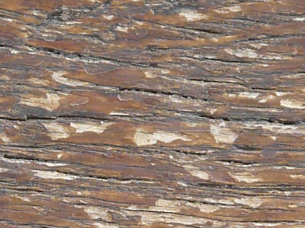 rough old wood texture 0069 - Texturelib