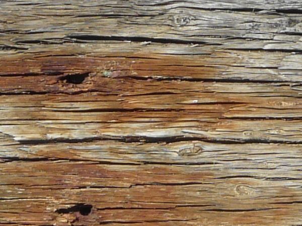 stained old wood texture 0070 - Texturelib