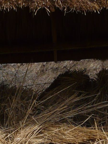 old hay storage 0038 - Texturelib