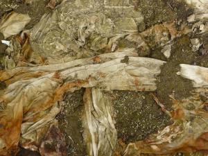garbage textures - Texturelib