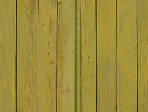 green wooden gates 0161 - Texturelib