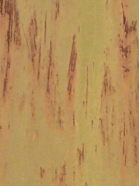 scratched yellow metal texture 0015 - Texturelib
