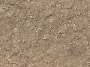 bare ground textures - Texturelib