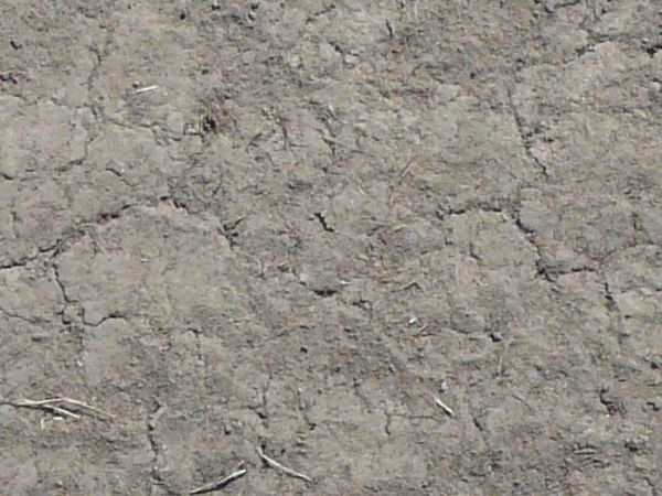 hard grey ground texture 0080 - Texturelib