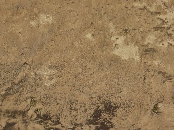 rough tan soil texture 0037 - Texturelib