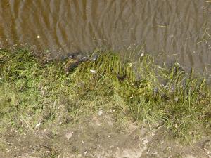 water edge textures - Texturelib