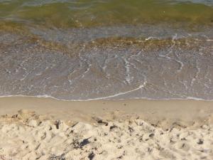 water edge textures - Texturelib