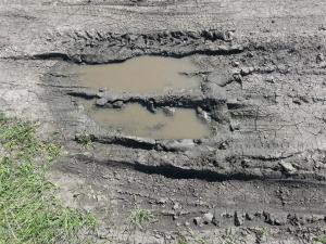 water edge textures - Texturelib