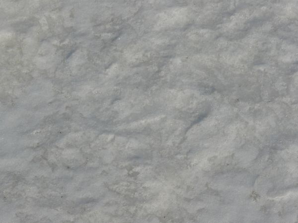 icy snow texure 0040 - Texturelib